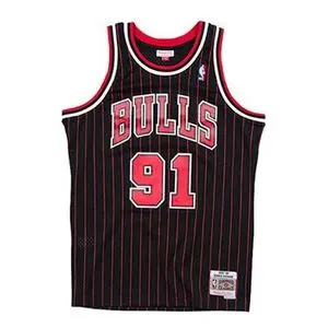 Mitchell & Ness Nba Chicago Bulls 95-96 Dennis Rodman Swingman Jersey
