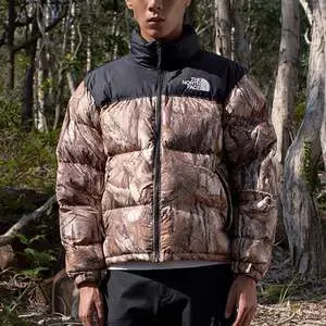 The North Face 1996 700 Down Jacket - Brown