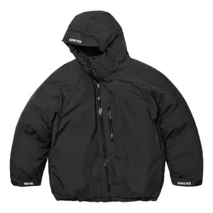 Supreme Gore-tex 700-fill Down Parka