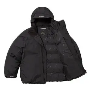 Supreme Gore-tex 700-fill Down Parka