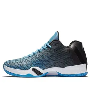 JORDAN Air 29 Low 'unc - Blue