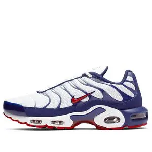 Nike Max Plus "usa - White/blue