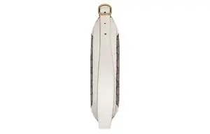 Gucci Ophidia Gg Mini Bag - Beige/ebony/white