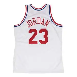 Mitchell & Ness Nba Michael Jordan All-star 1991 Jersey #23