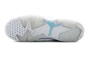 JORDAN 6 Retro "pantone" Sneakers