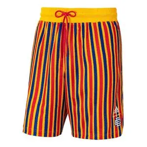 Adidas Striped Basketball Shorts With Contrasting Colors - Multi-color