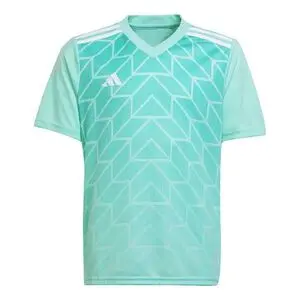 Adidas Team Icon 23 Jersey - Clear Mint