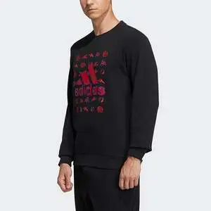 Adidas Crewneck Pullover With Graphic Print