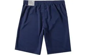 PUMA Team Rise Training Shorts