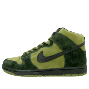 Nike Nike SB Dunk High Pro Sneakers Green