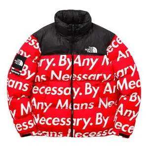Supreme Fw15 X The North Face Nuptse Jacket - Red