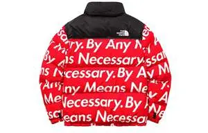 Supreme Fw15 X The North Face Nuptse Jacket