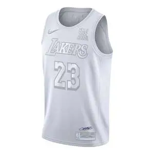 Nike Los Angeles Lakers Lebron James #23 Jersey - White/grey