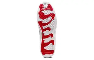 CONVERSE Chuck Taylor All Star High Top "dragon Graphic
