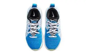 Nike Lebron 17 "photo Blue