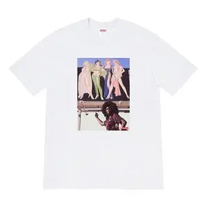 Supreme Fw19 Week 7 American Picture Tee Usa Photo Printing Short Sleeve Gray - Grey