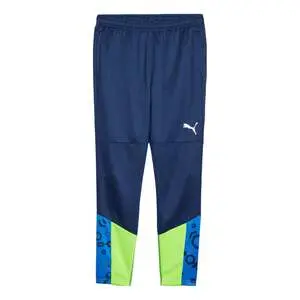 PUMA Individualcup Football Training Pants 'blue Green - Blue/green