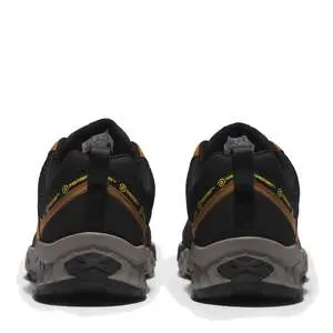 Timberland Trailquest Waterproof Low Top Sneakers