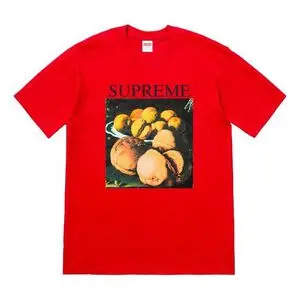Supreme Fw18 Still Life Tee Printing Short Sleeve - Red
