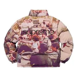 Supreme Lafayette Reflective Down Jacket - Multi-color