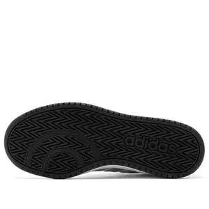 Adidas Skateboarding Low Top Sneakers