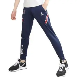 Nike Paris Saint-germain Strike Home Knit Football Pants 'grey