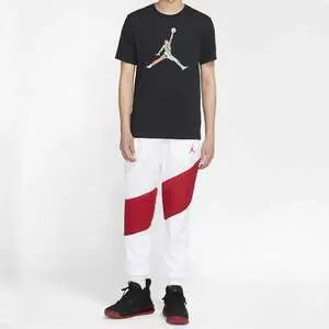 JORDAN Flying Colorful Large Logo Short Sleeve