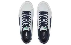 PUMA Suede Skate Nitro Sneakers