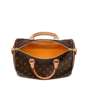 LOUIS VUITTON Speedy 30 Soft Bag