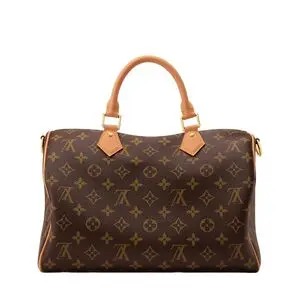 LOUIS VUITTON Speedy 30 Soft Bag