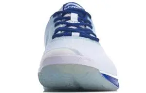LI-NING Aytp019-13 Badminton Shoes