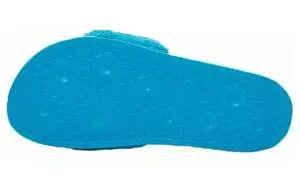 PUMA Sesame Street X Leadcat 'cookie Monster' Slides - Blue