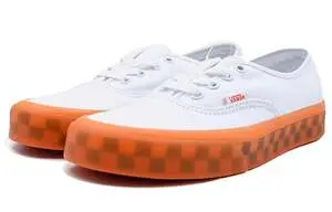 VANS Lace-up Low Top Skate Shoes