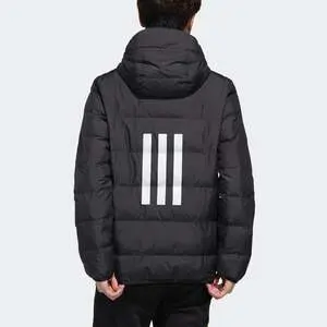 Adidas Neo Down Jacket With Hood - Black