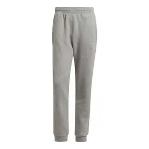 Adidas Adicolor Essentials Trefoil Pants 'grey
