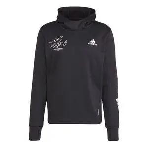 Adidas Pullover With Graphic Print
