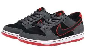 Nike Zoom Dunk Low Pro - Grey