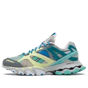 REEBOK Dmx Trail Shadow Fv2845 - Gray