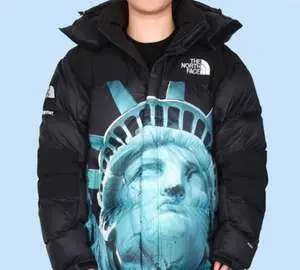 Supreme X The North Face Statue Of Liberty Mountain Jacket - Black/blue