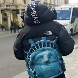 Supreme X The North Face Statue Of Liberty Mountain Jacket - Black/blue