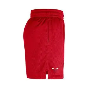 Nike X Nba Chicago Bulls Basketball Shorts
