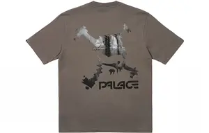 PALACE X Oakley T-shirt