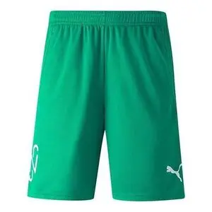 PUMA Neymar Jr Football Shorts - Green
