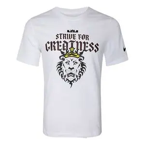 Nike Dri-fit Lebron Strive For Greatness T-shirt