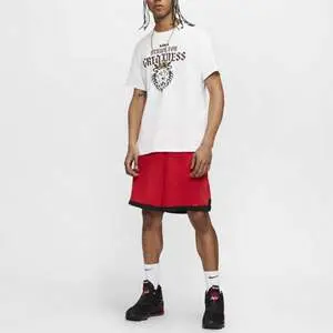 Nike Dri-fit Lebron Strive For Greatness T-shirt