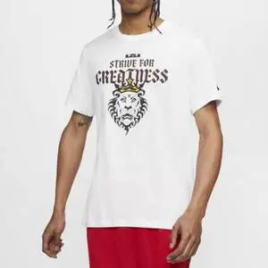 Nike Dri-fit Lebron Strive For Greatness T-shirt