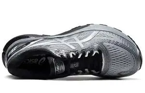 Asics Gel-nimbus 21 Platinum Running Shoes - Grey