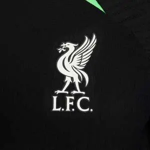 Nike Dri-fit Adv Strike Elite Liverpool Training Jersey