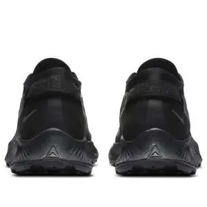 Nike Pegasus Trail 2 Gtx Running Shoes