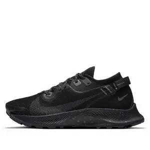 Nike Pegasus Trail 2 Gtx Running Shoes - Black